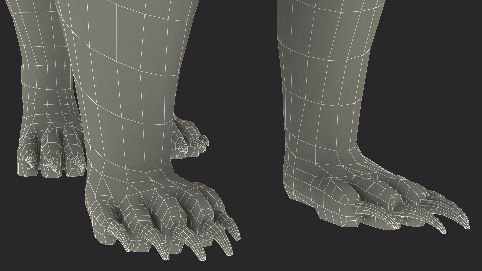 Skunk Wary Fur Model - TurboSquid 2107189