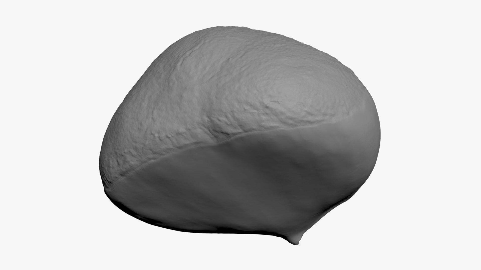 Chestnut 01 For 3D Print 3D Model - TurboSquid 2351355