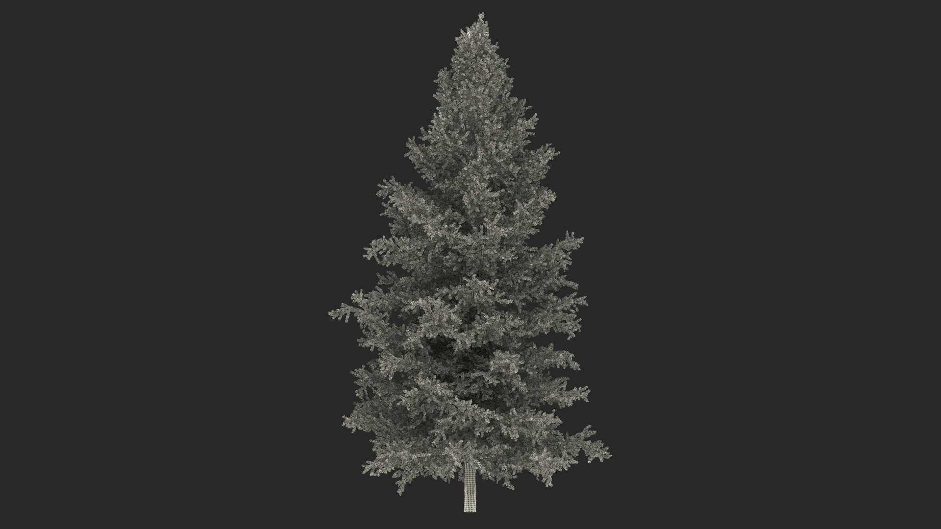Japanese Larch Tree Green Model - TurboSquid 1860957