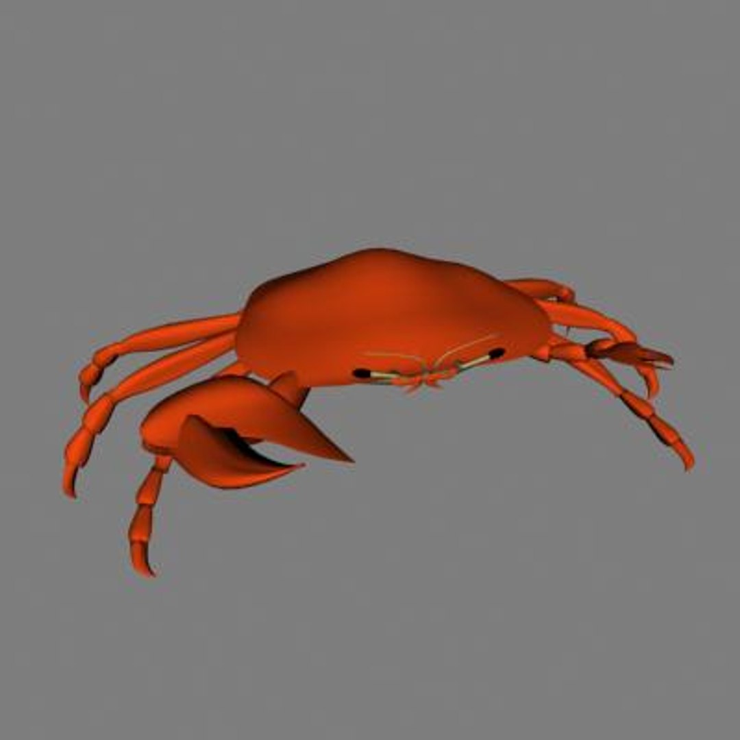 3d Crab