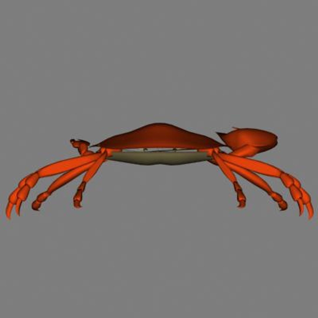 3d Crab