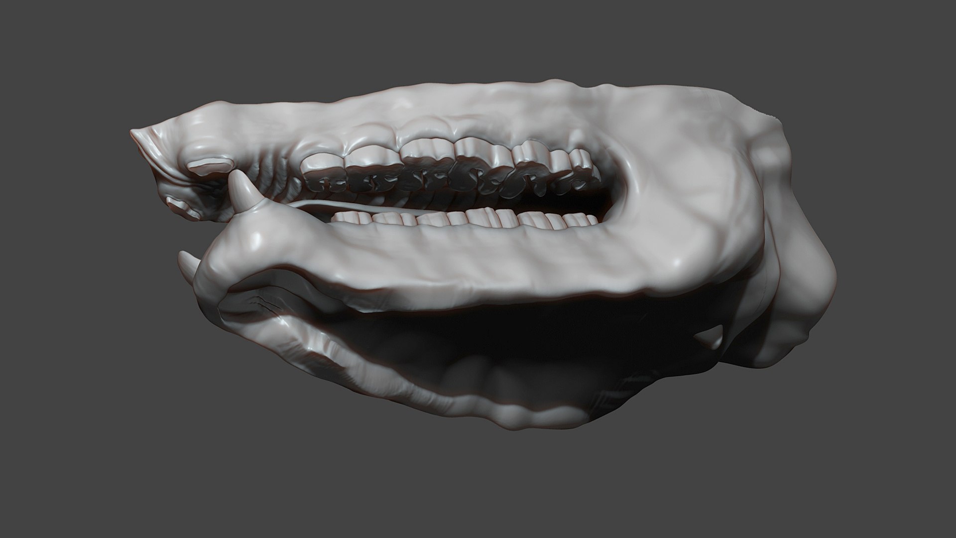 3D Model Rhino Mouth ZBrush Sculpt - TurboSquid 1771413