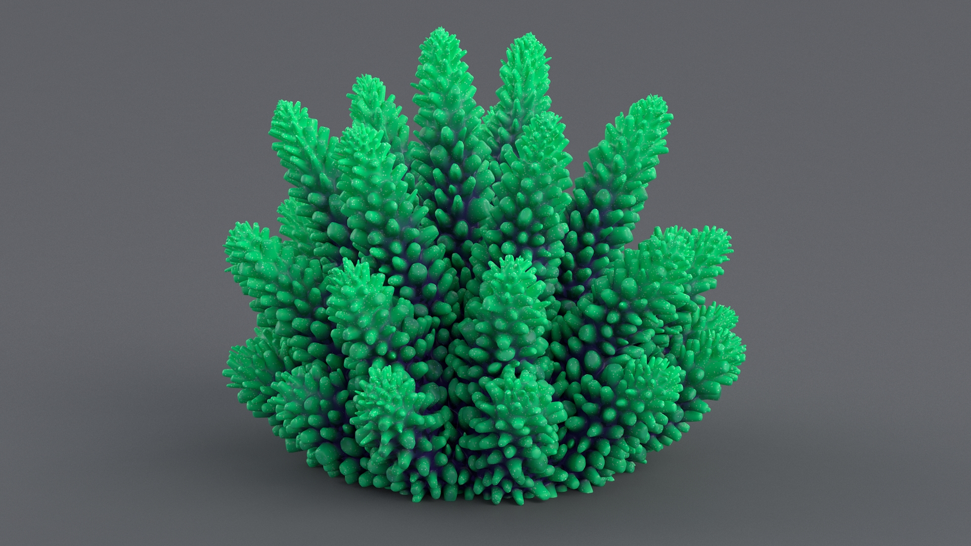 Coral 1 s model - TurboSquid 1580714