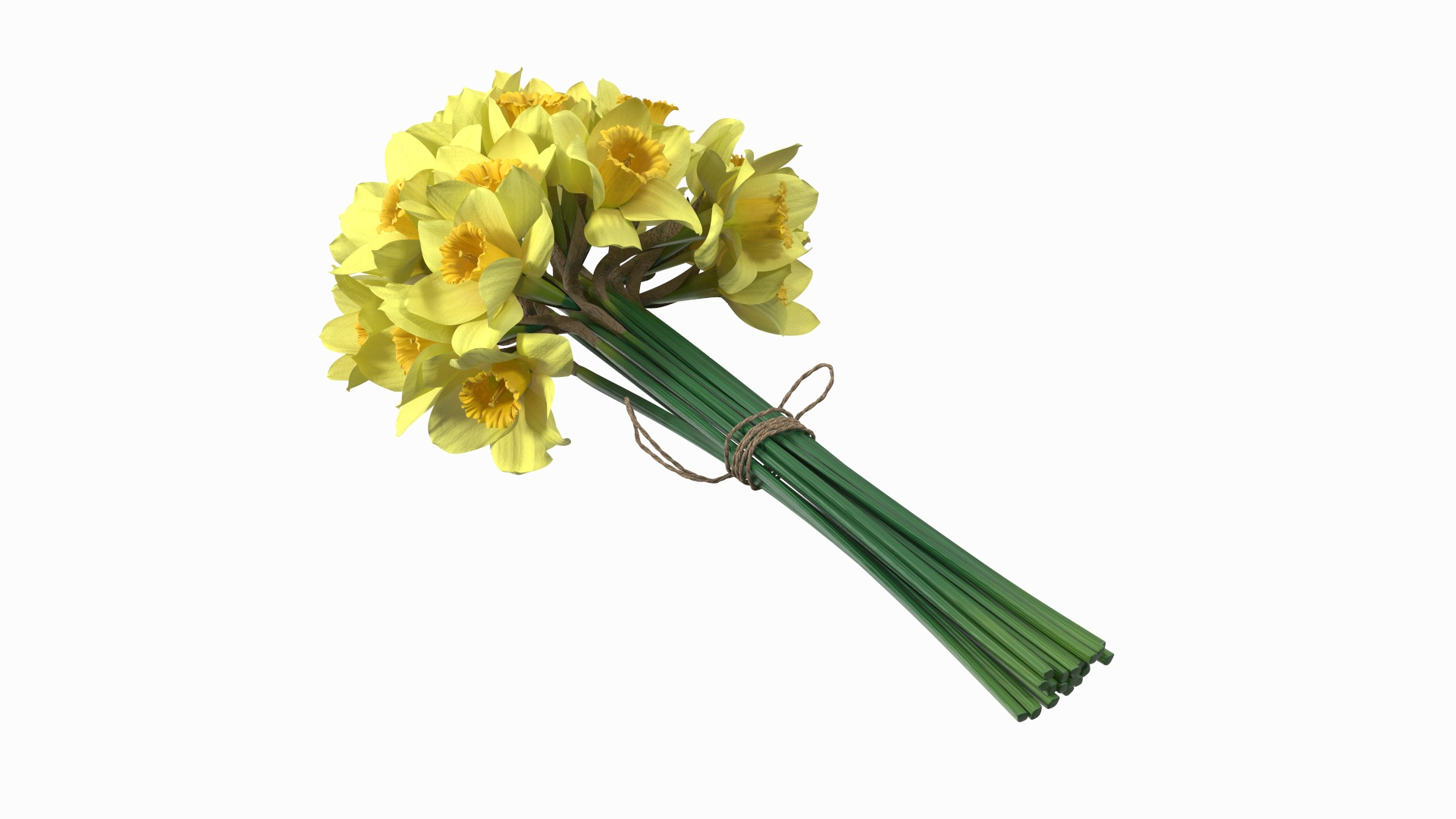 3D Daffodils Bouquet - TurboSquid 2092081