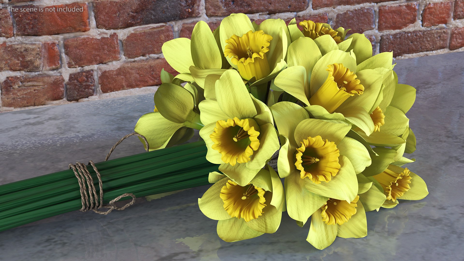 3D Daffodils Bouquet - TurboSquid 2092081