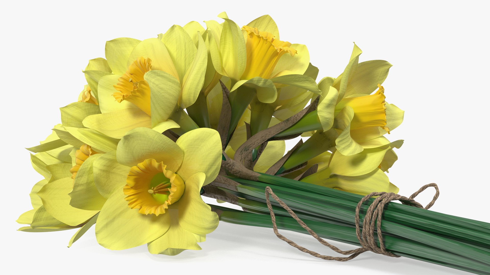 3D Daffodils Bouquet - TurboSquid 2092081