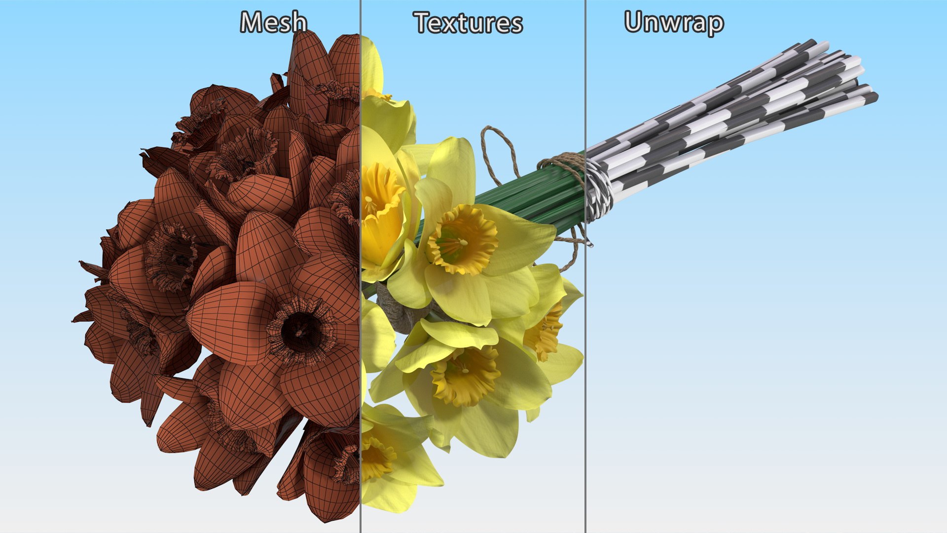 3D Daffodils Bouquet - TurboSquid 2092081