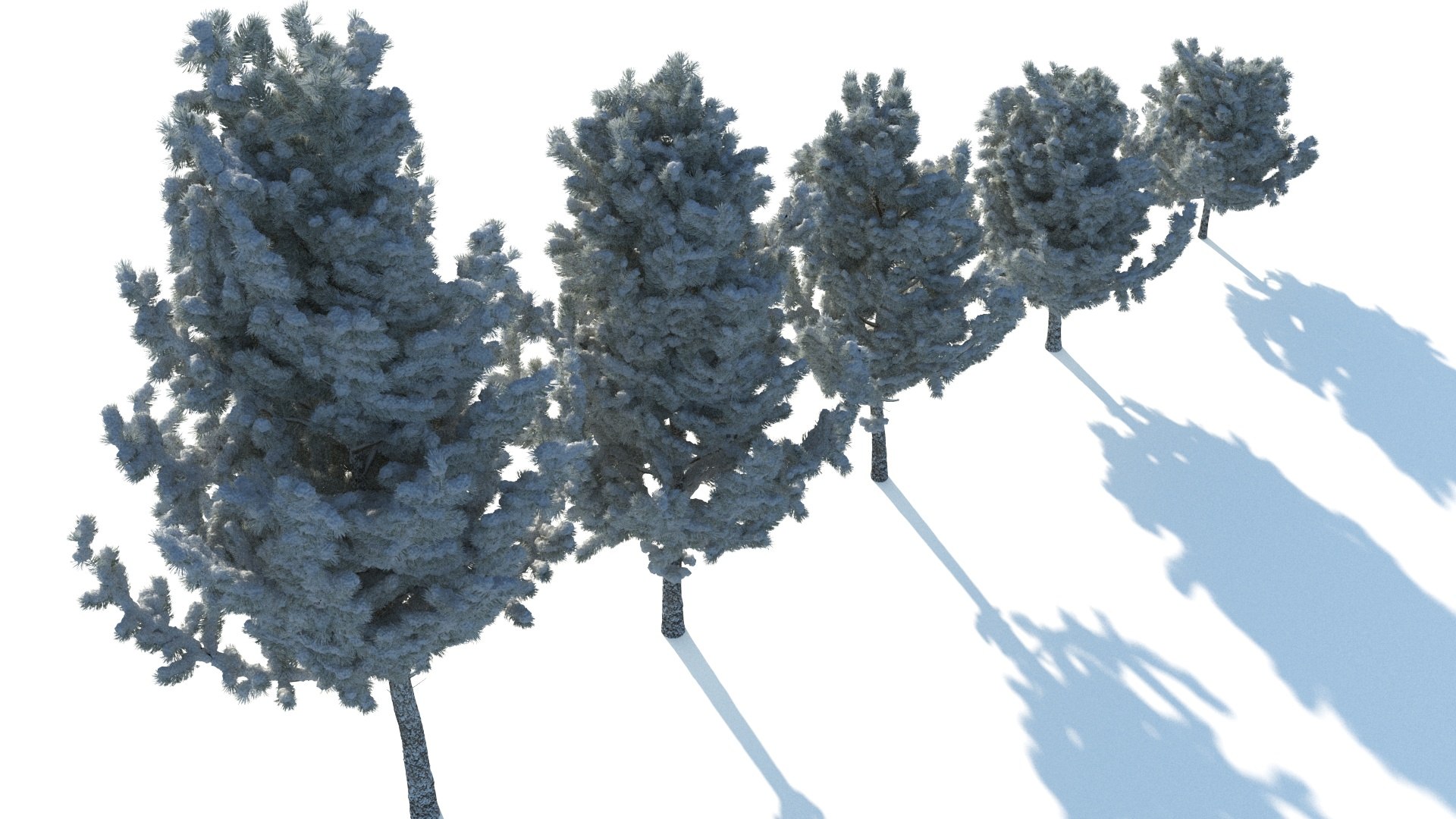 3D Model Pines Snow Tree - TurboSquid 1476610