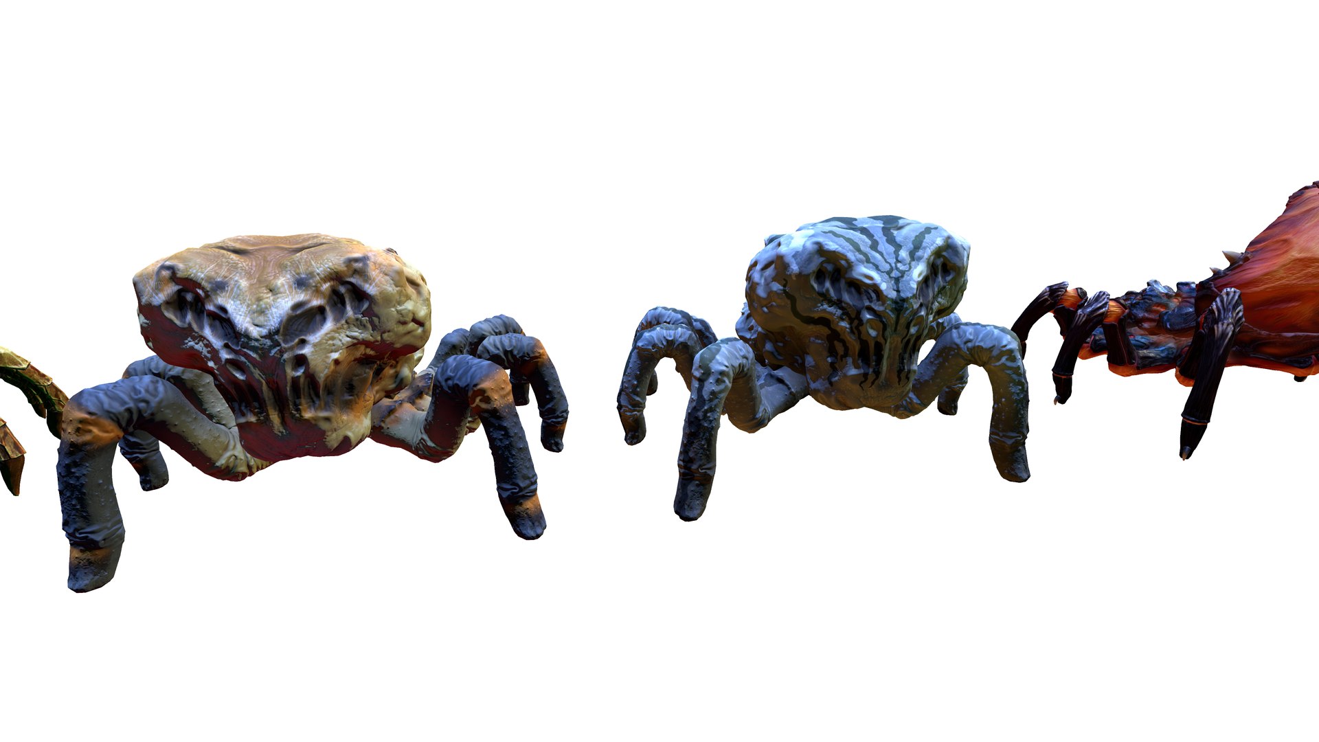 3D Spider Pack Textures With Animation - TurboSquid 2328446