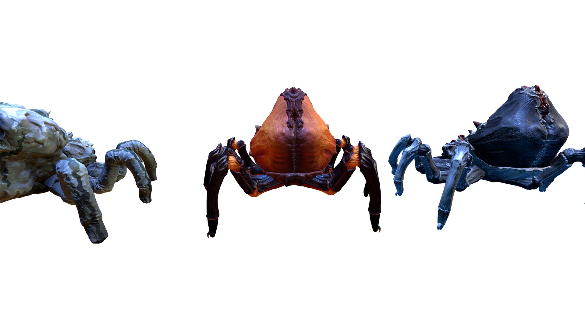 3D Spider Pack Textures With Animation - TurboSquid 2328446