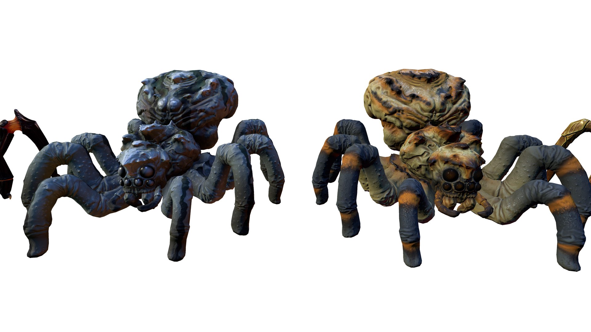 3D Spider Pack Textures With Animation - TurboSquid 2328446