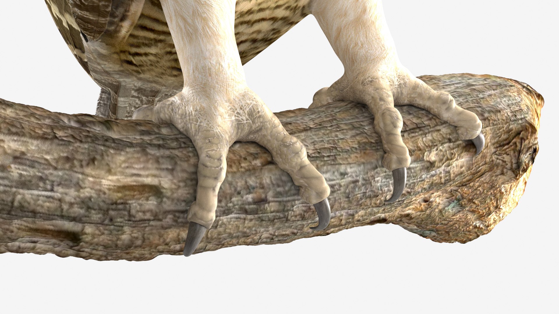 Great Owl Bird 3D Model - TurboSquid 1502361