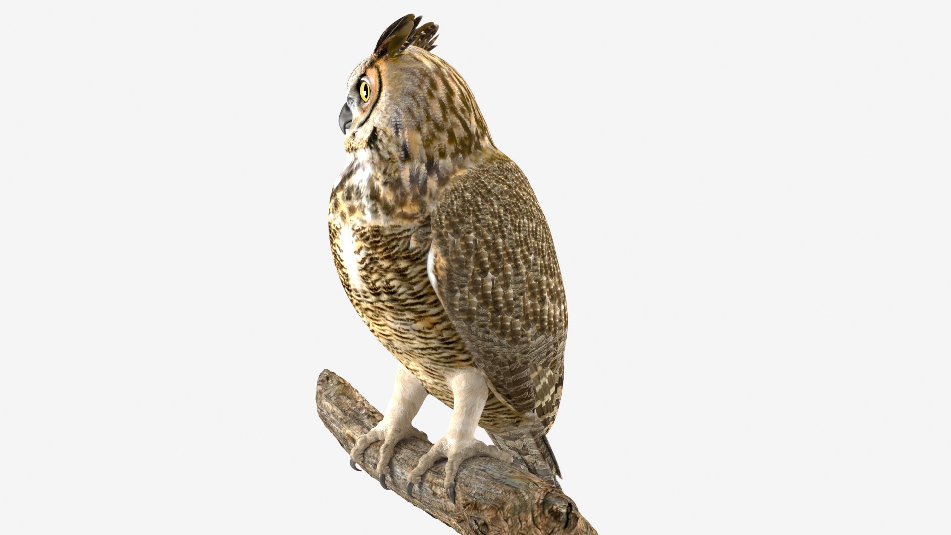 Great Owl Bird 3D Model - TurboSquid 1502361