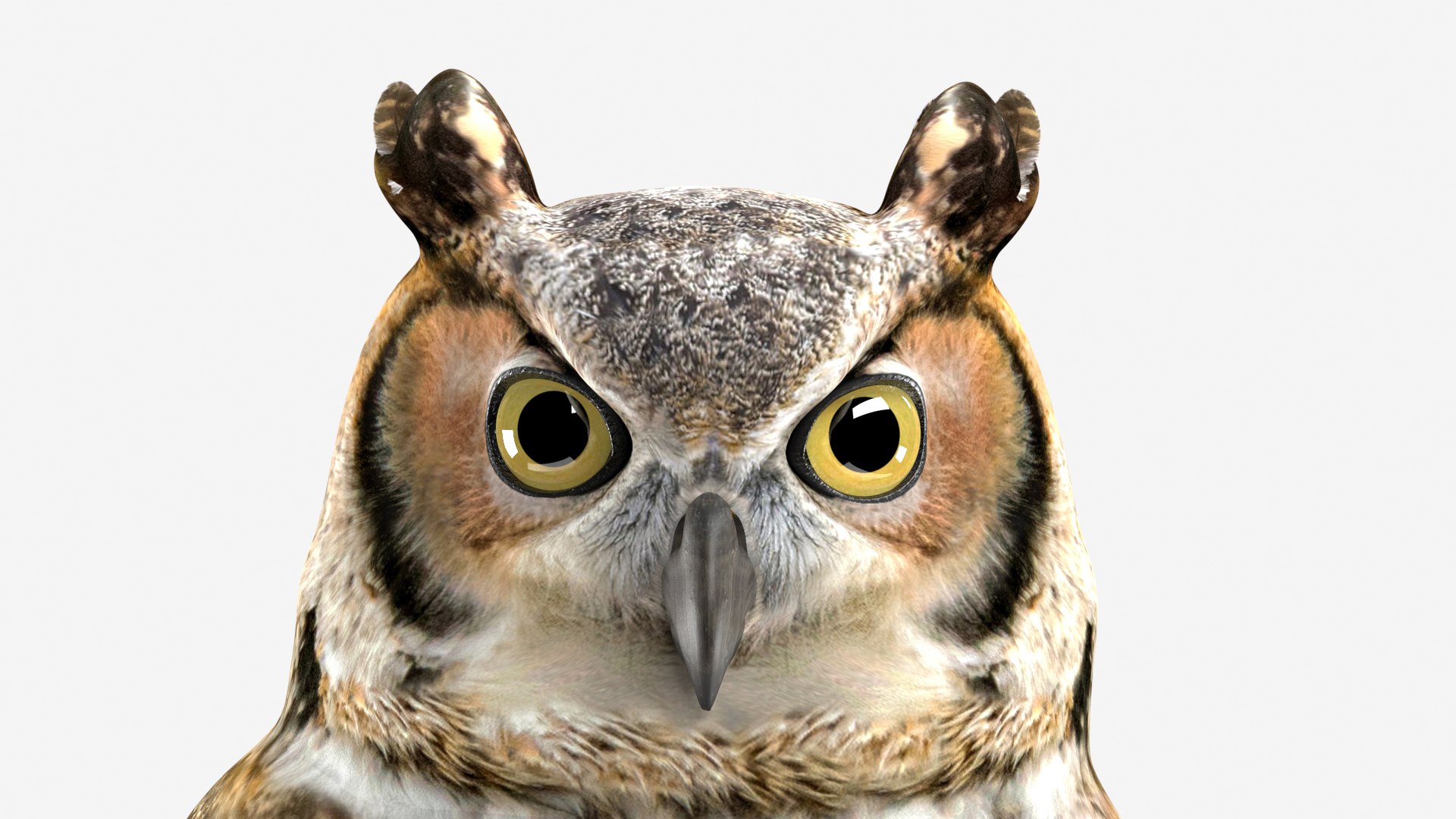Great Owl Bird 3D Model - TurboSquid 1502361
