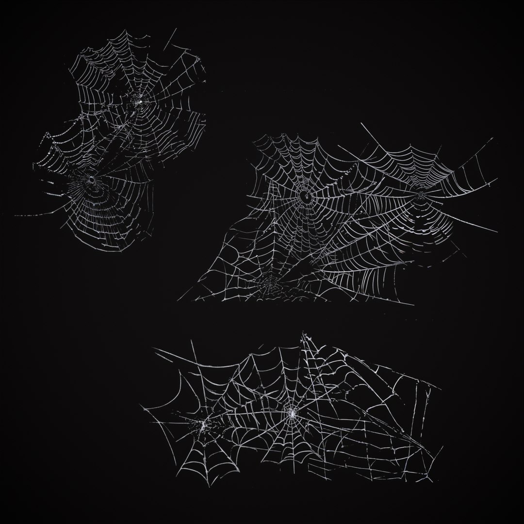 3D Spider Webs Pack One Model - TurboSquid 2140768