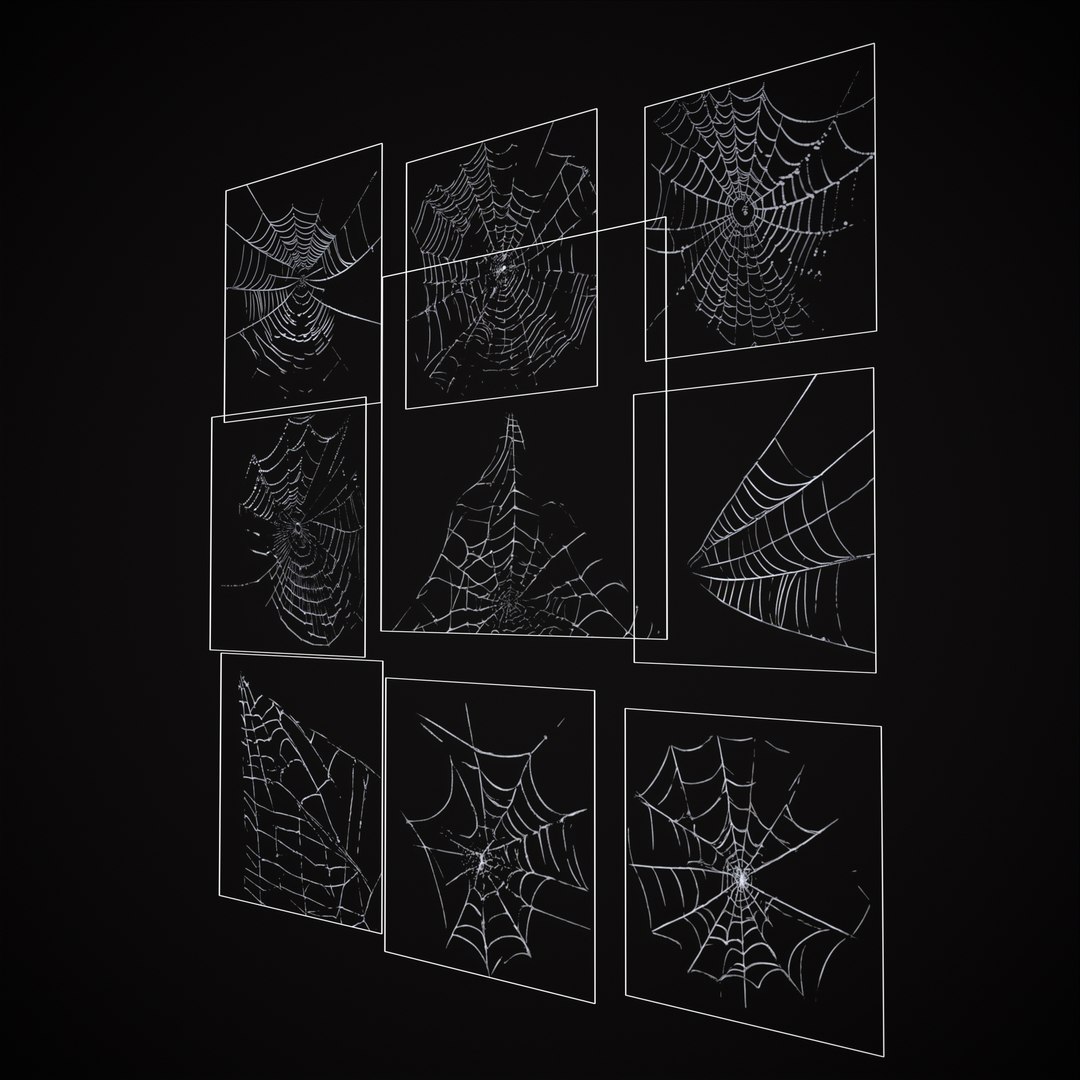 3D Spider Webs Pack One Model - TurboSquid 2140768