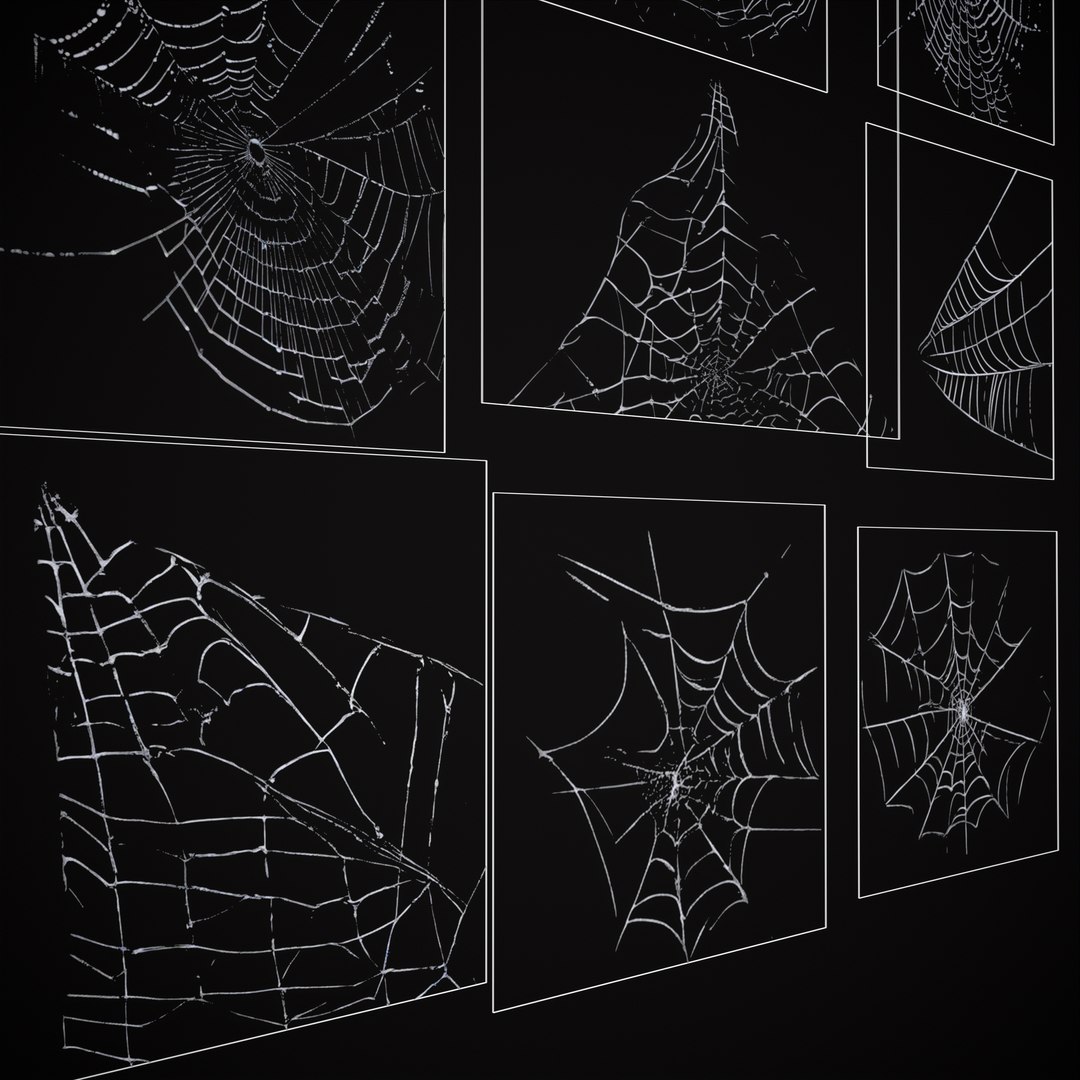 3D Spider Webs Pack One Model - TurboSquid 2140768