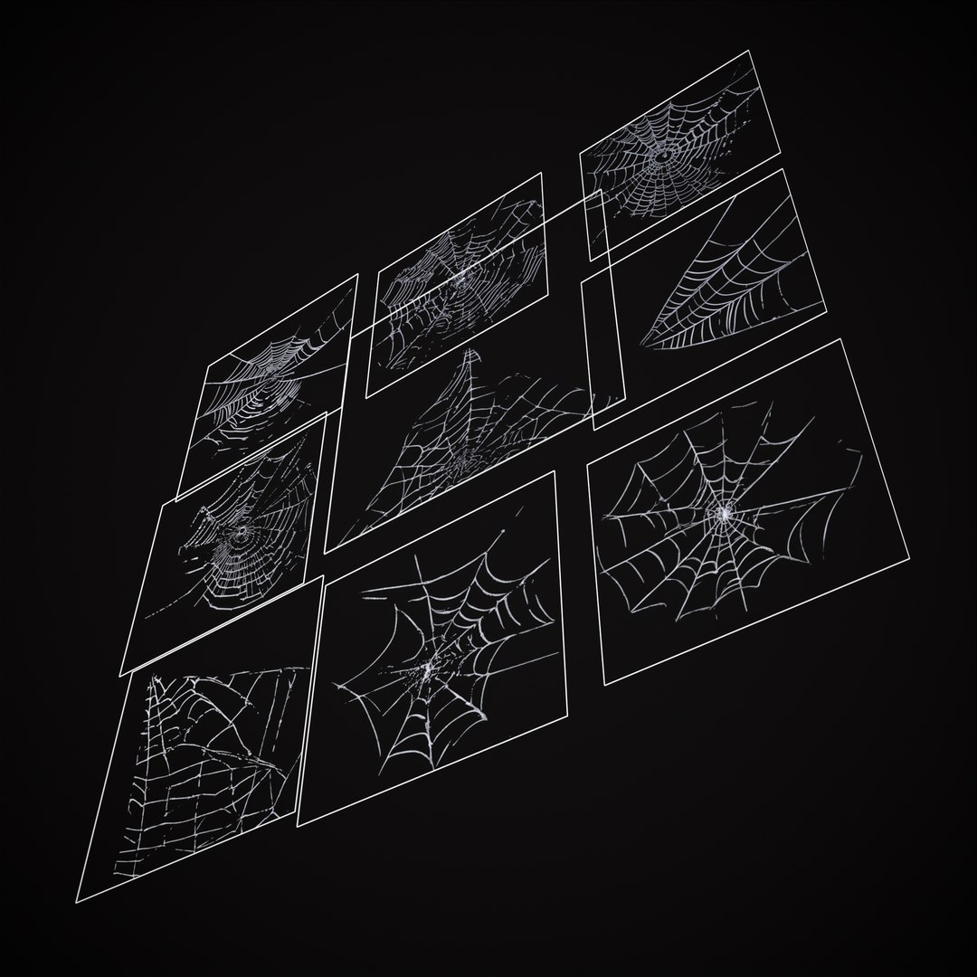 3D Spider Webs Pack One Model - TurboSquid 2140768