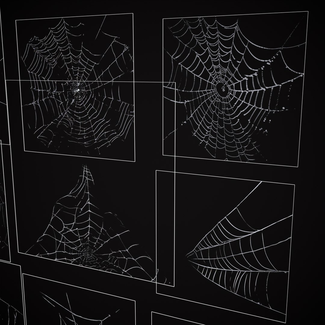 3D Spider Webs Pack One Model - TurboSquid 2140768