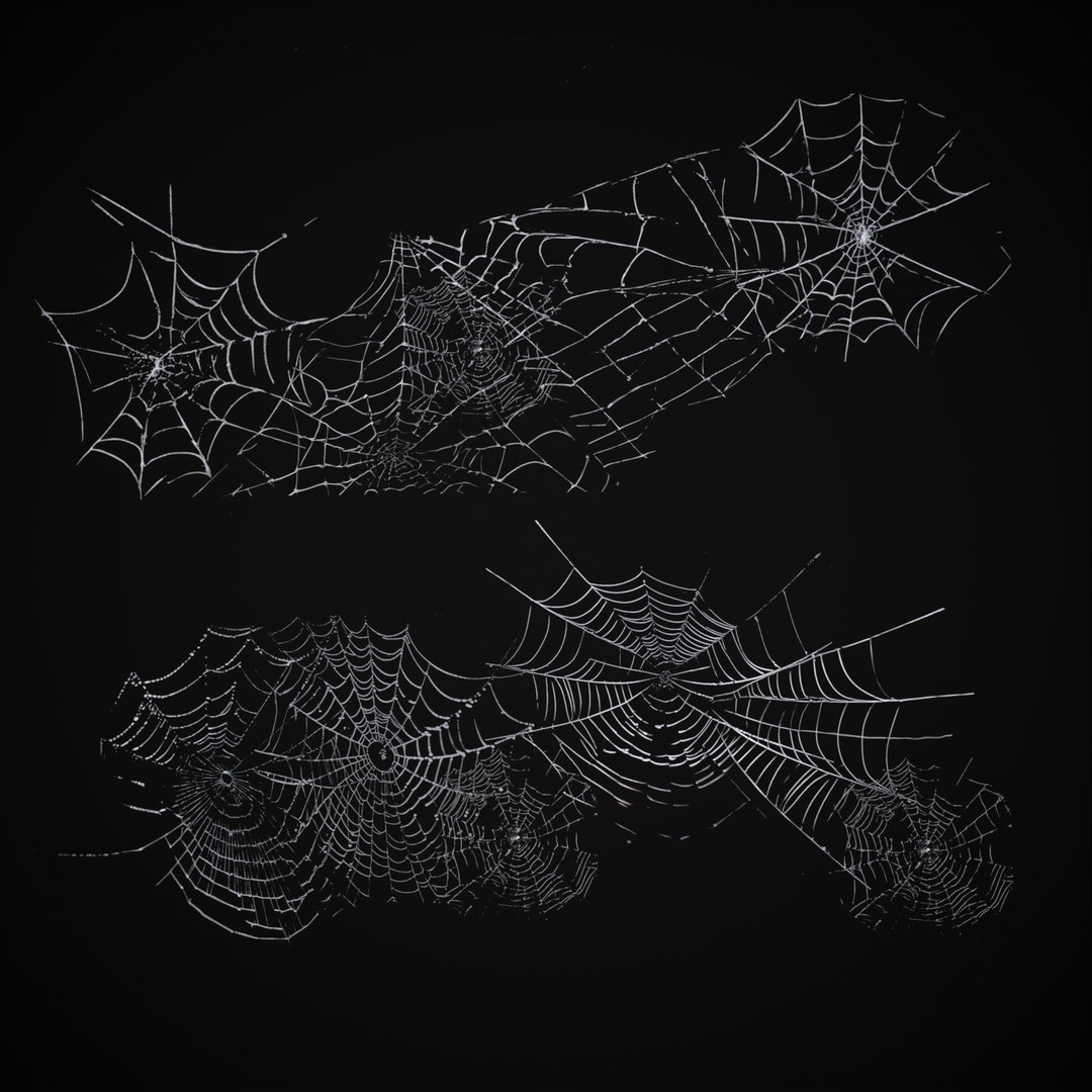 3D Spider Webs Pack One Model - TurboSquid 2140768