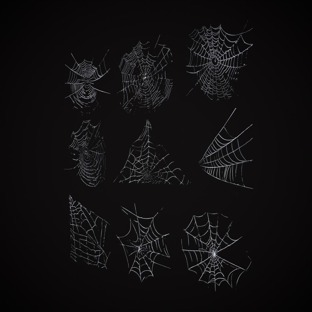 3D Spider Webs Pack One Model - TurboSquid 2140768