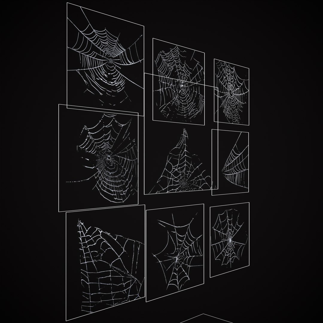 3D Spider Webs Pack One Model - TurboSquid 2140768