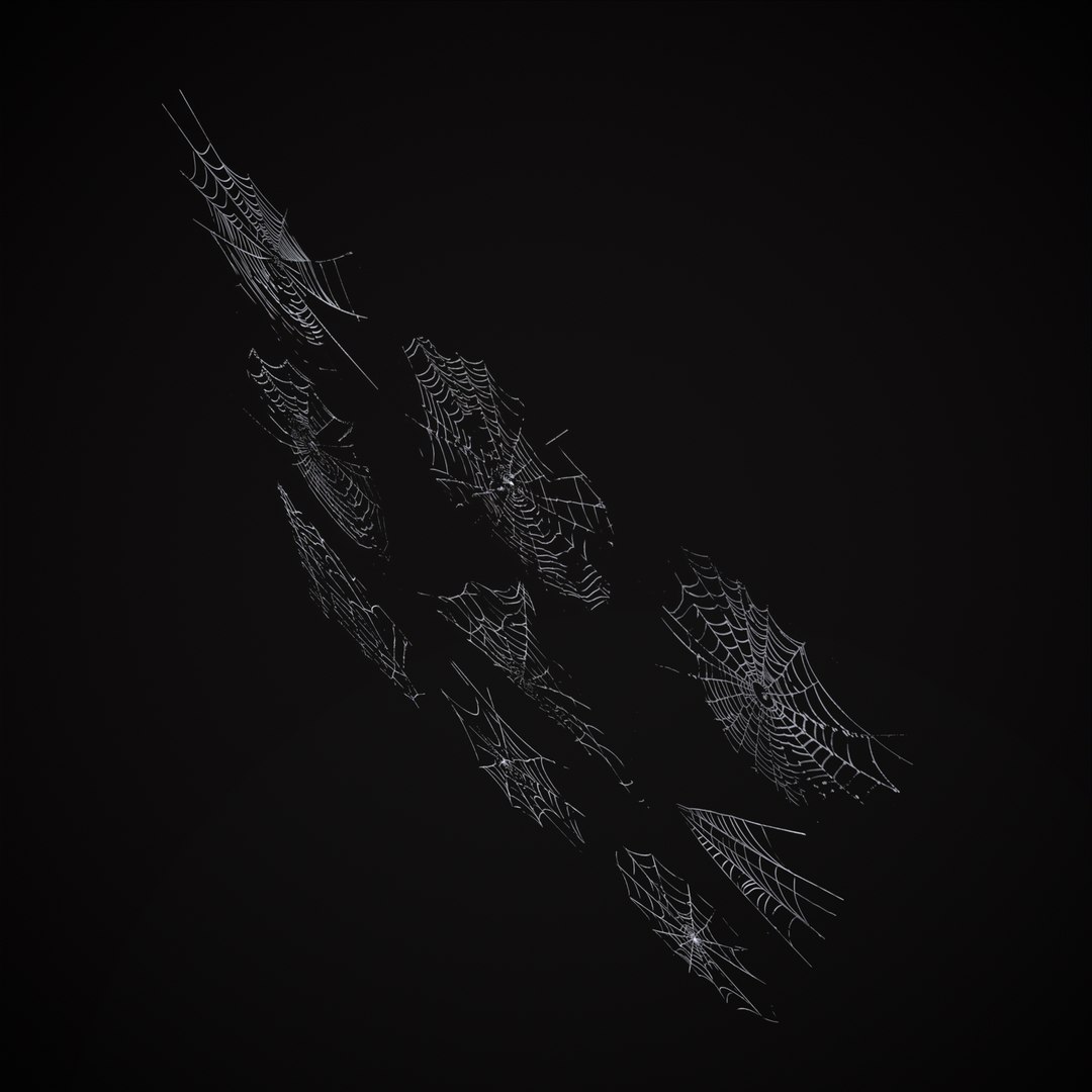 3D Spider Webs Pack One Model - TurboSquid 2140768