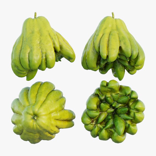 Fingered citron 3D model - TurboSquid 2022162