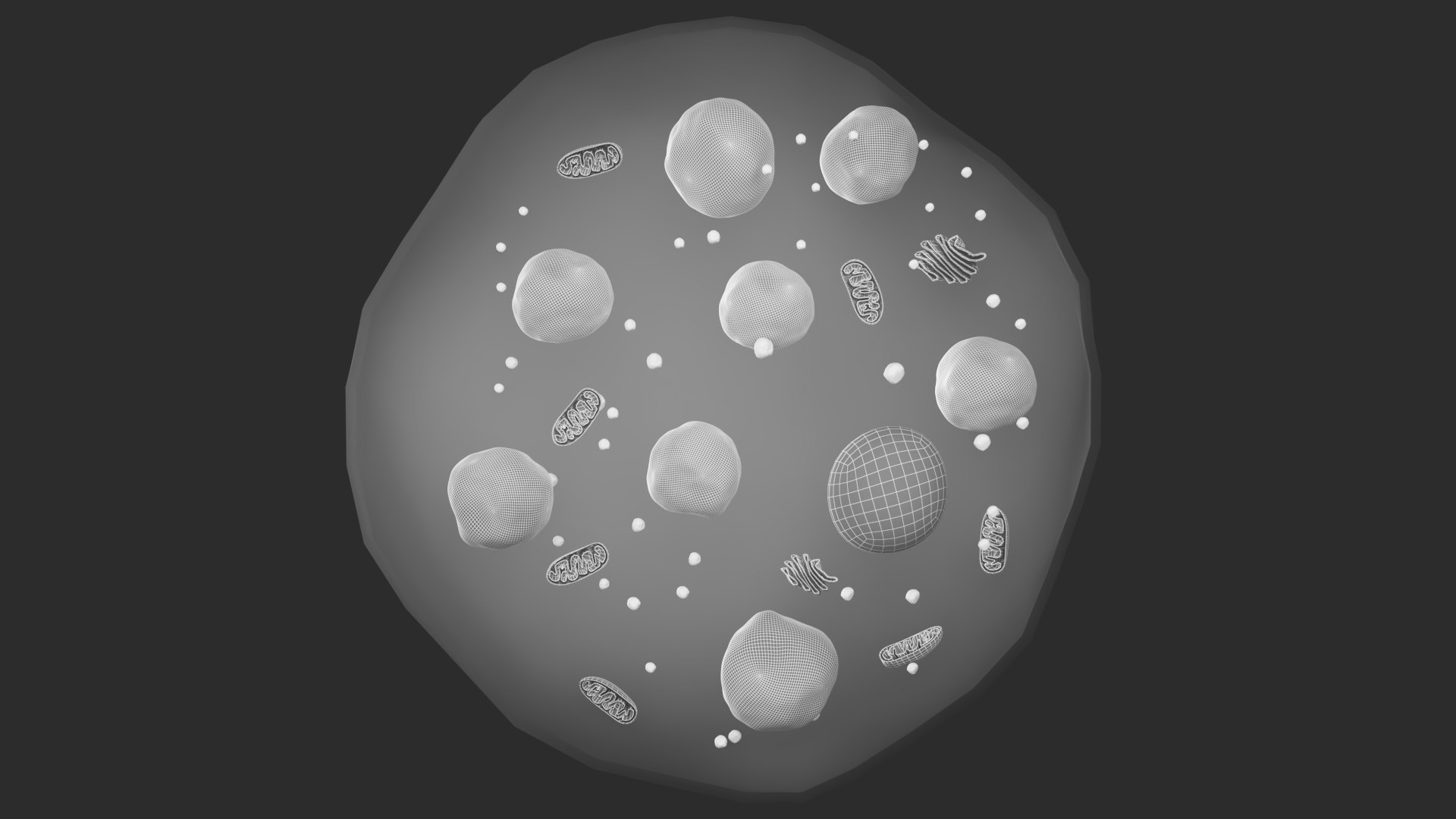 3D Brown Fat Cell - TurboSquid 2251364