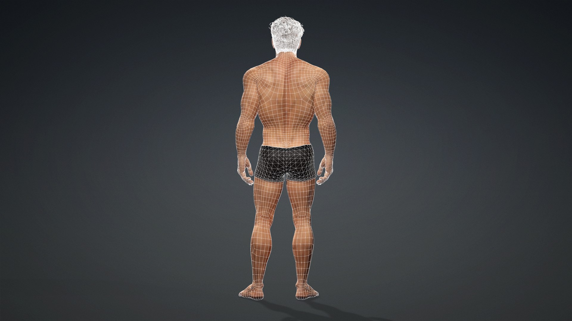3D Bodybuilder Male Anatomy - TurboSquid 2516504