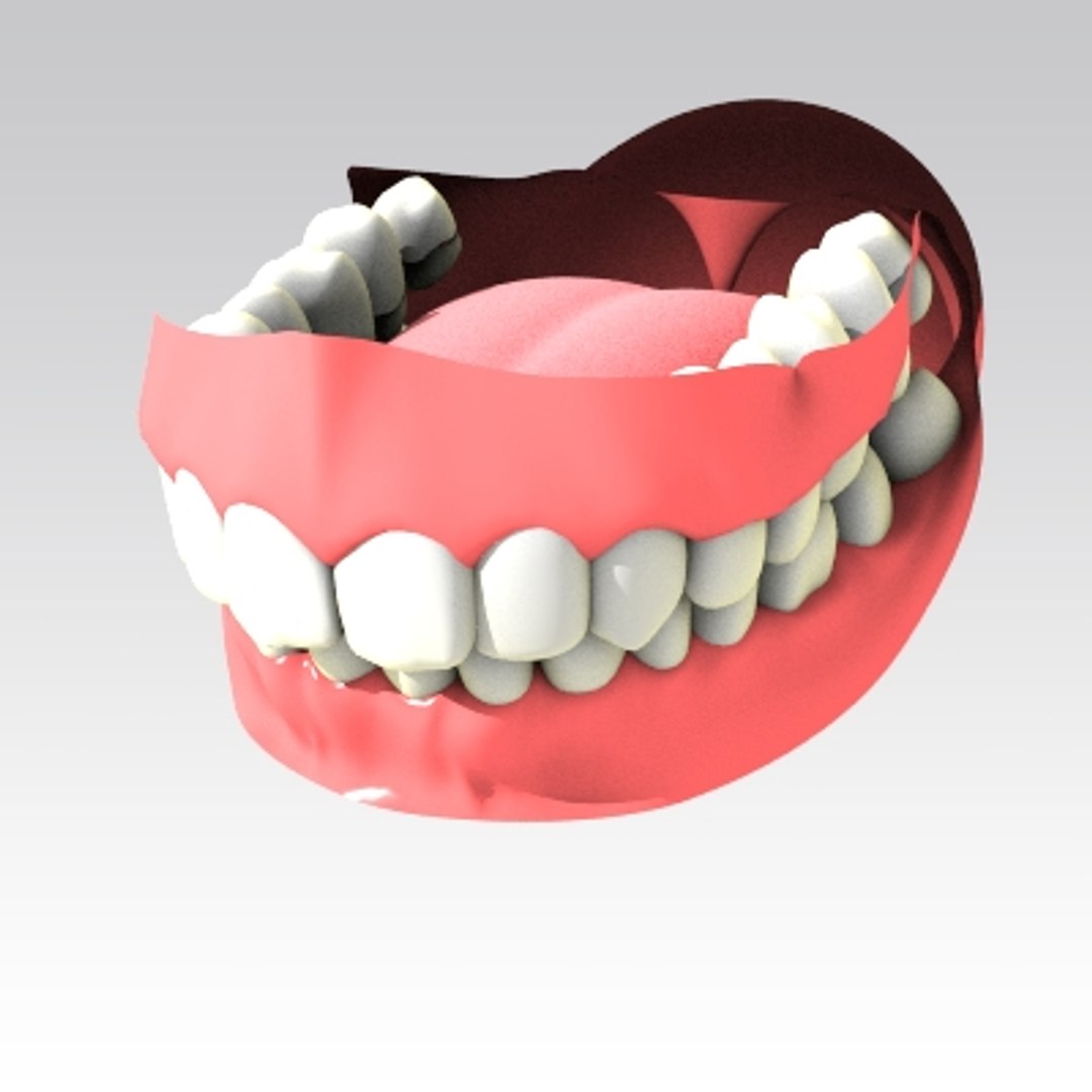 3d Mouth Teeth Model