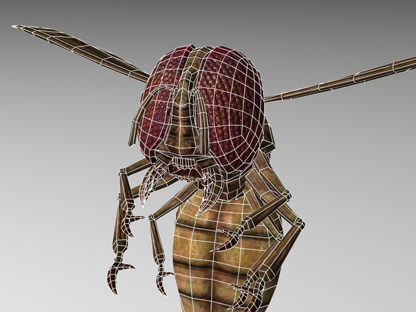 Monster Wasp 3d Model