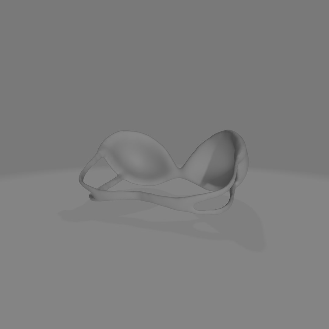 3D Bra - TurboSquid 1919423