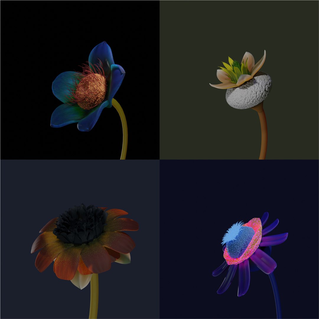 3D Flower Creator Model - TurboSquid 1990711