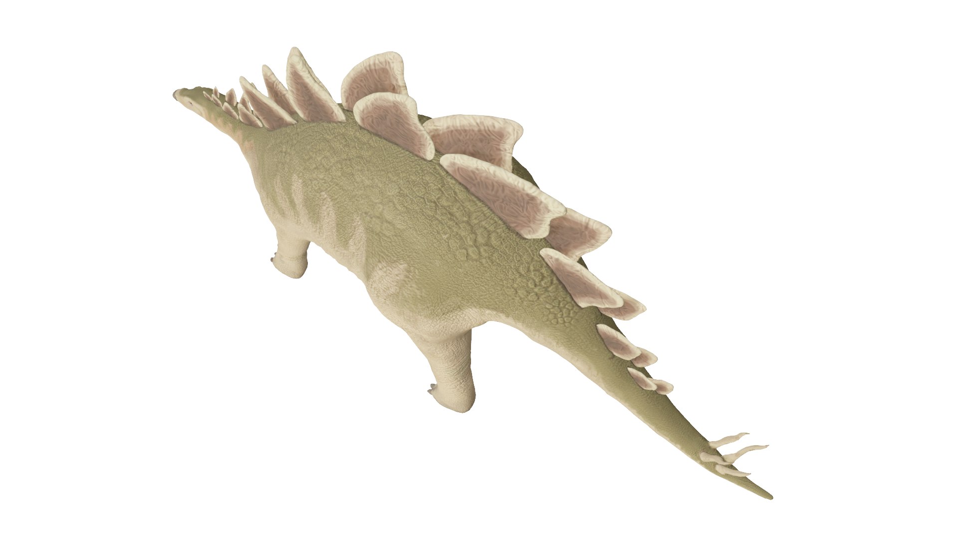 3D Stegosaurus Model - TurboSquid 2131285