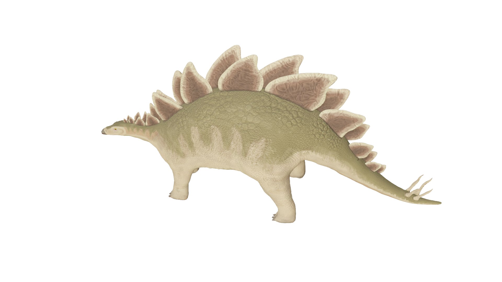 3D Stegosaurus Model - TurboSquid 2131285