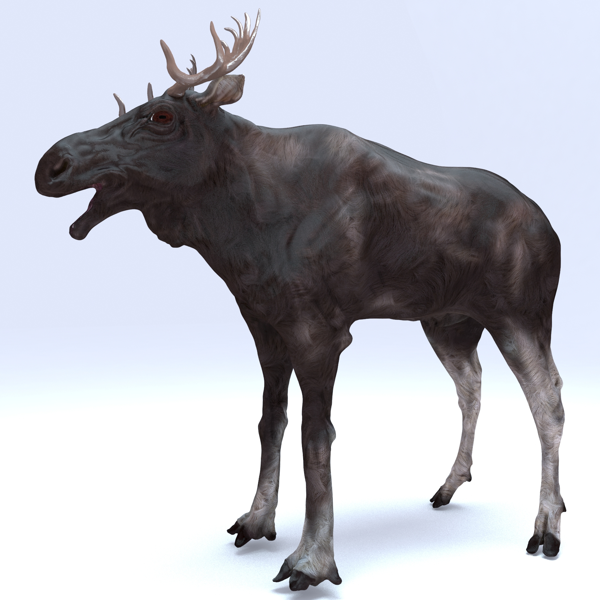 3D forest moose model - TurboSquid 1707861