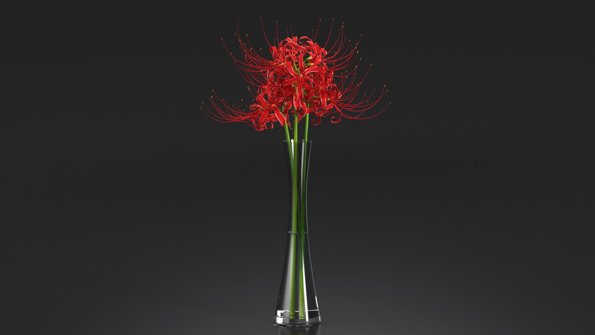 3D Bouquet Of Spider Lilies In Glass Vase - TurboSquid 2045425