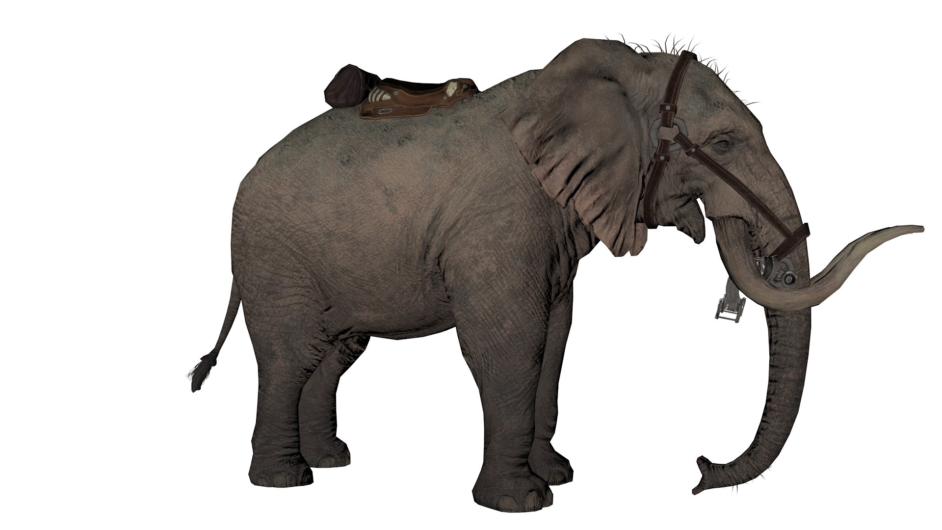 3D Model Ancient War Elephant 3D Model Realistic Fantasy Creature With ...