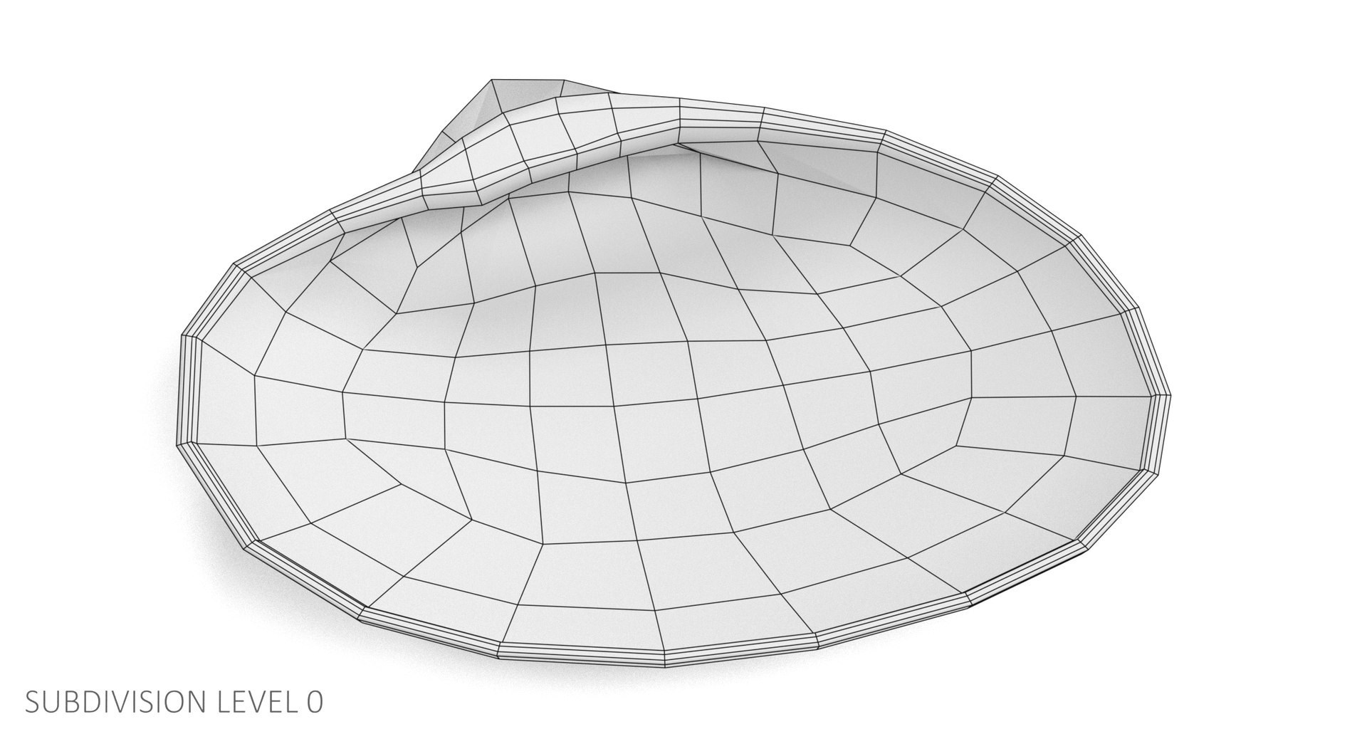 Clam pbr 3D model - TurboSquid 1213250