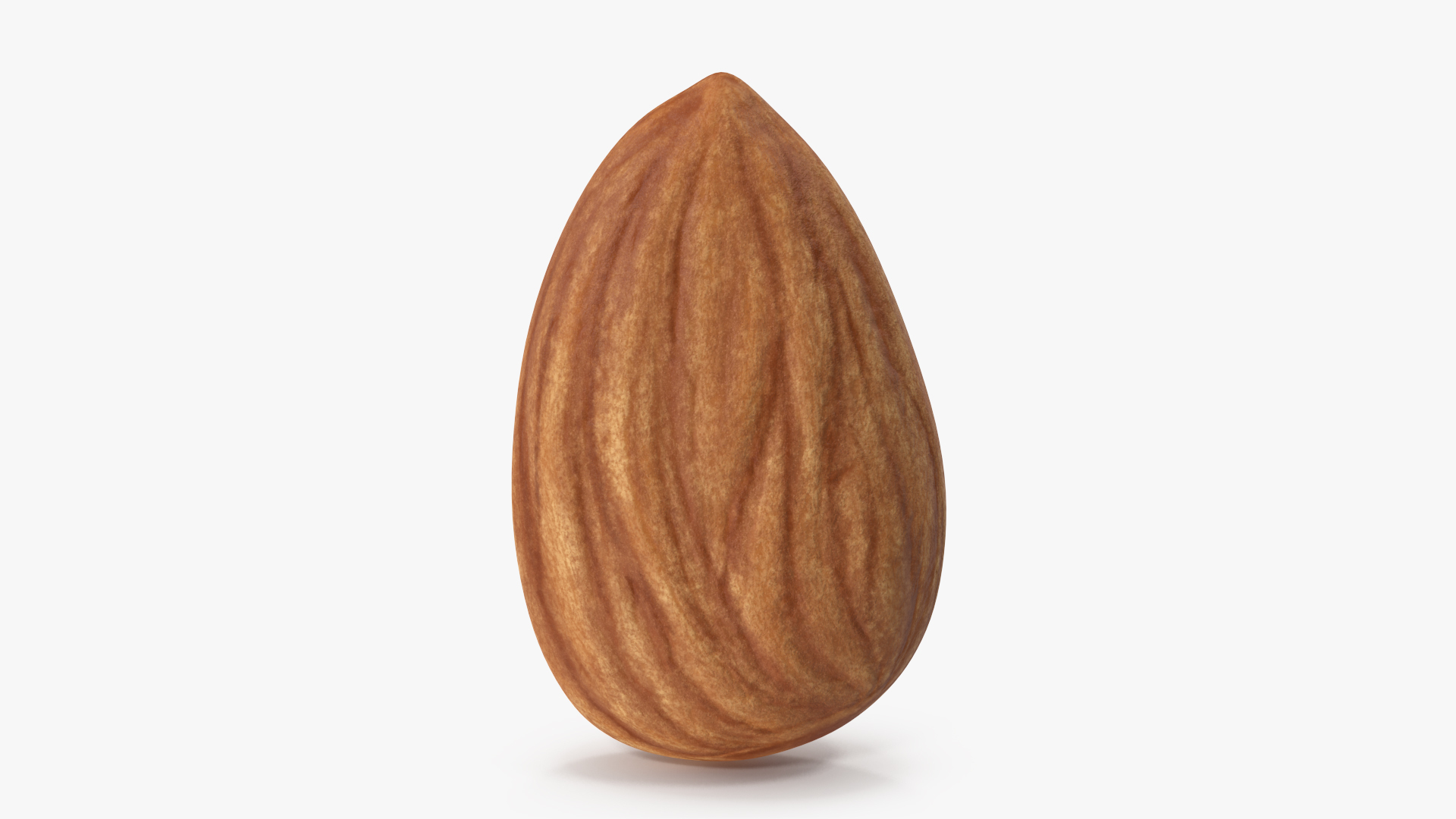 3D Almond 2 - TurboSquid 1635850
