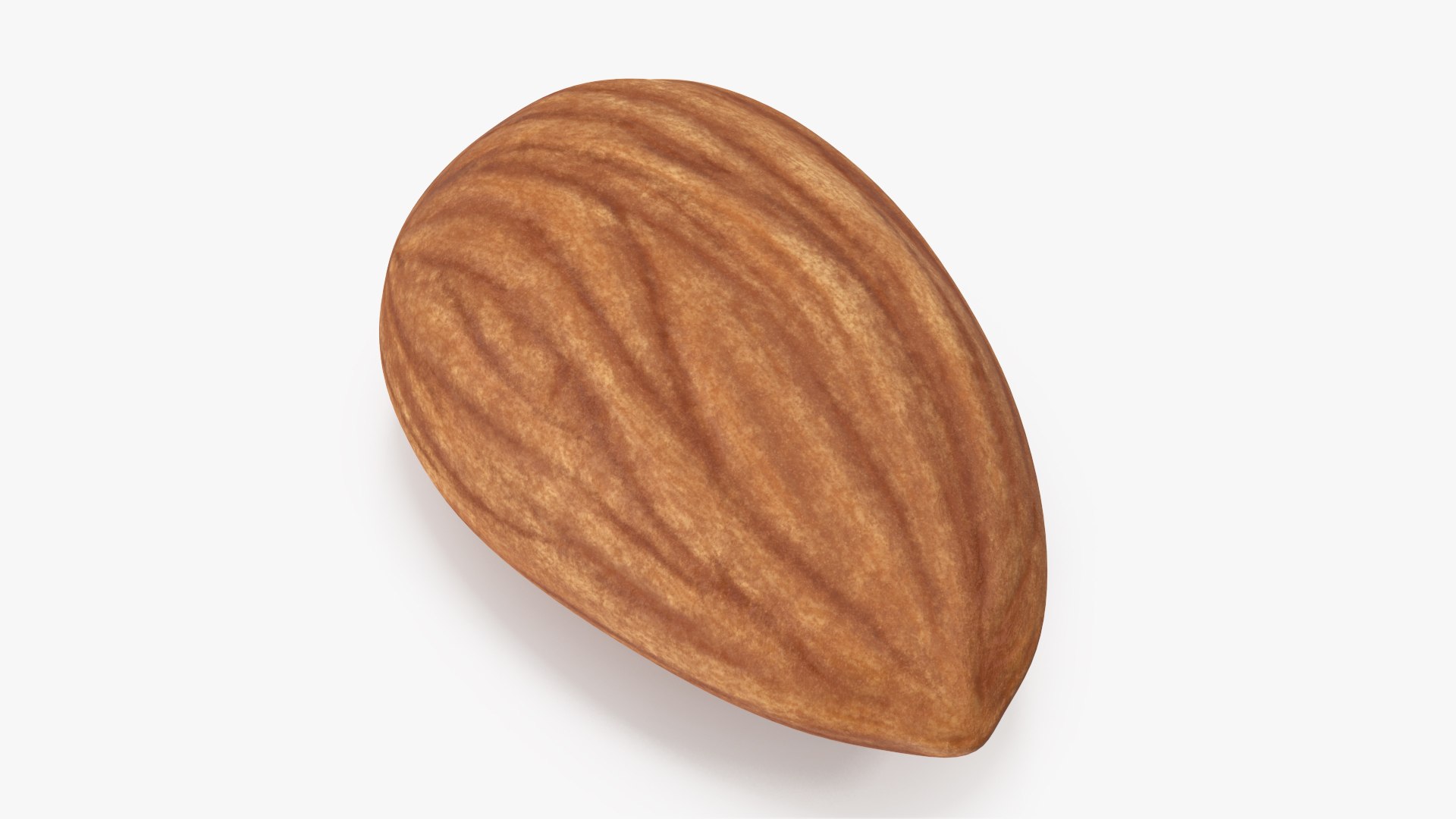 3D almond 2 - TurboSquid 1635850