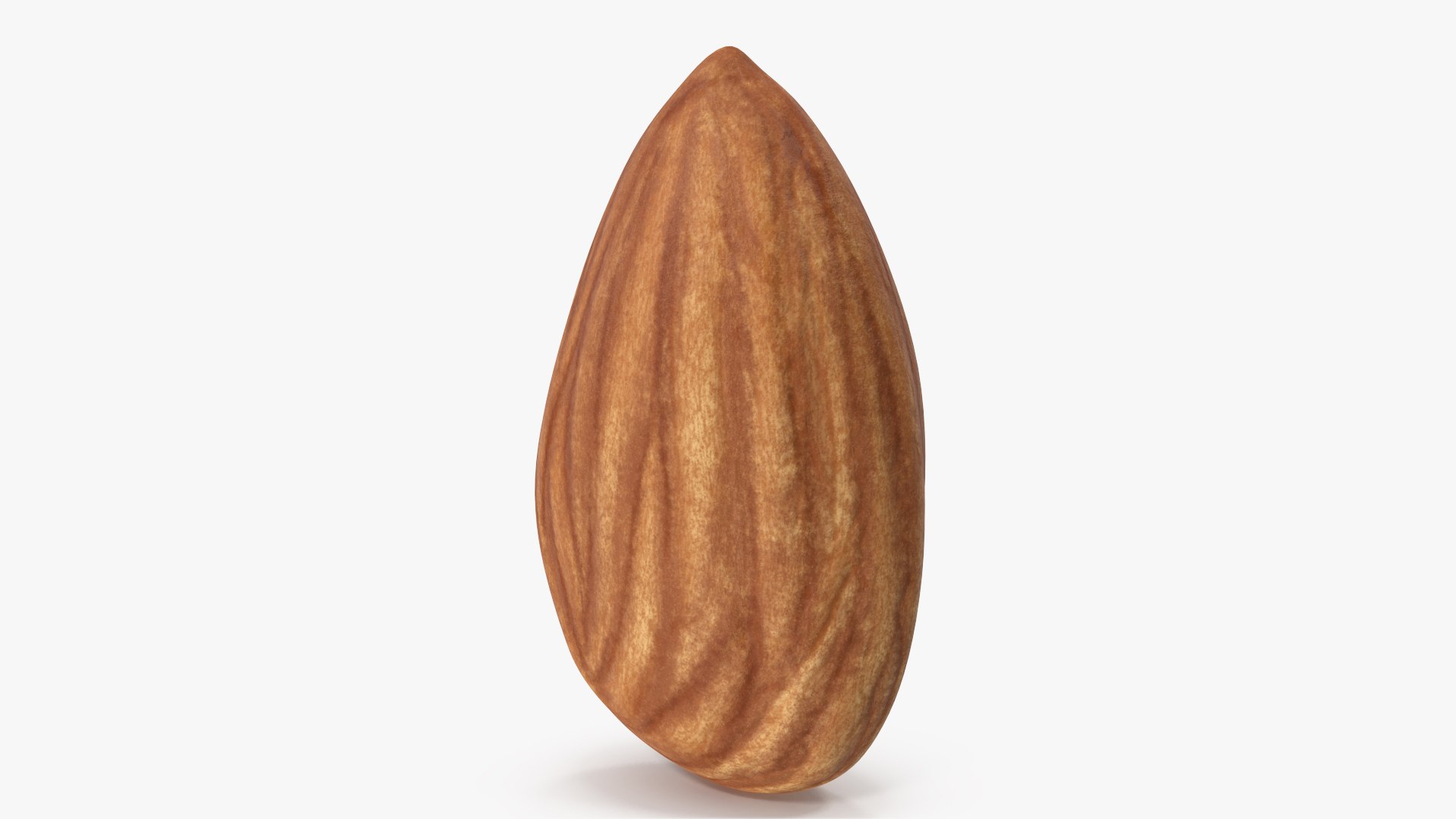 3D Almond 2 - TurboSquid 1635850
