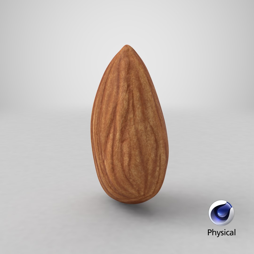 3D almond 2 - TurboSquid 1635850