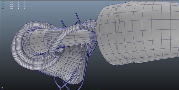 Human boby muscle tissue 3D model - TurboSquid 1826264