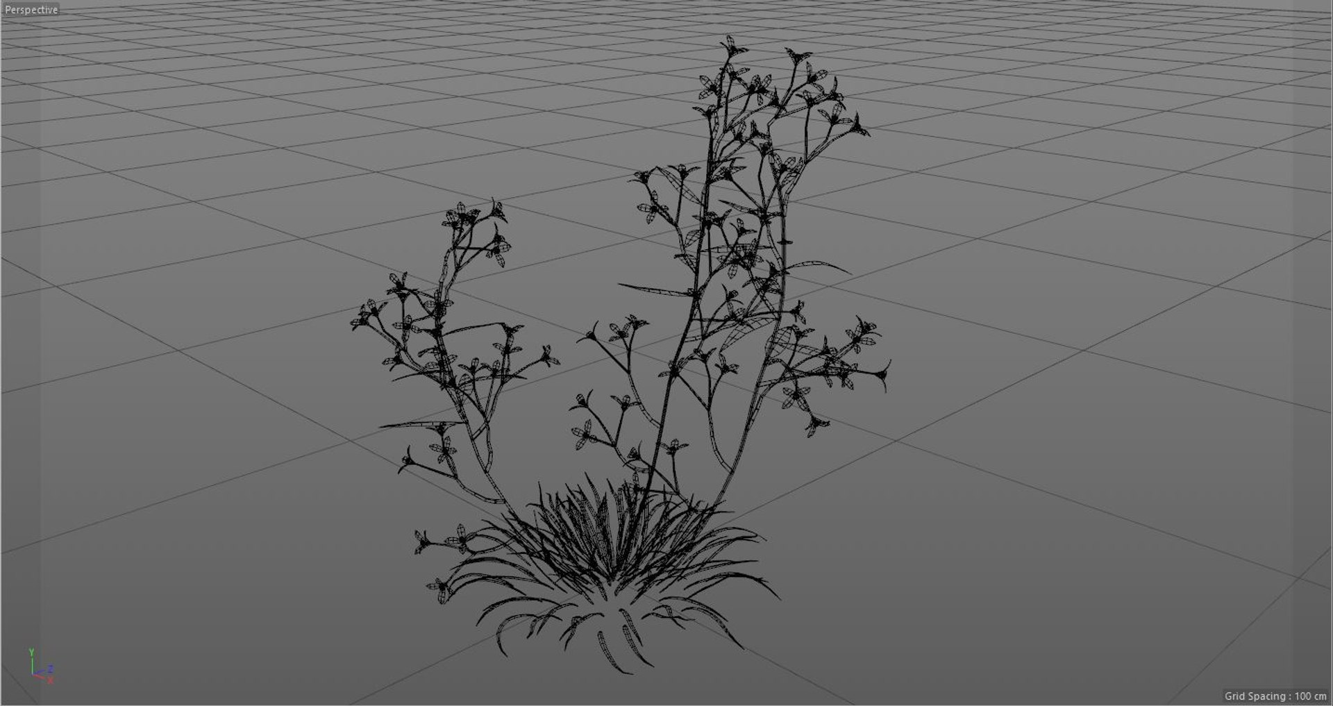 3D Prairie Blue Grass Model - TurboSquid 1472606