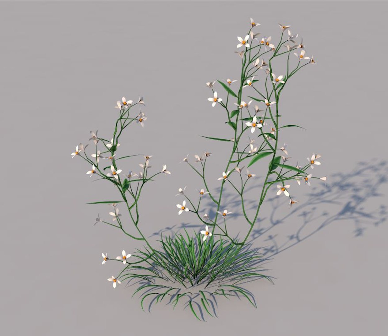 3D Prairie Blue Grass Model - TurboSquid 1472606