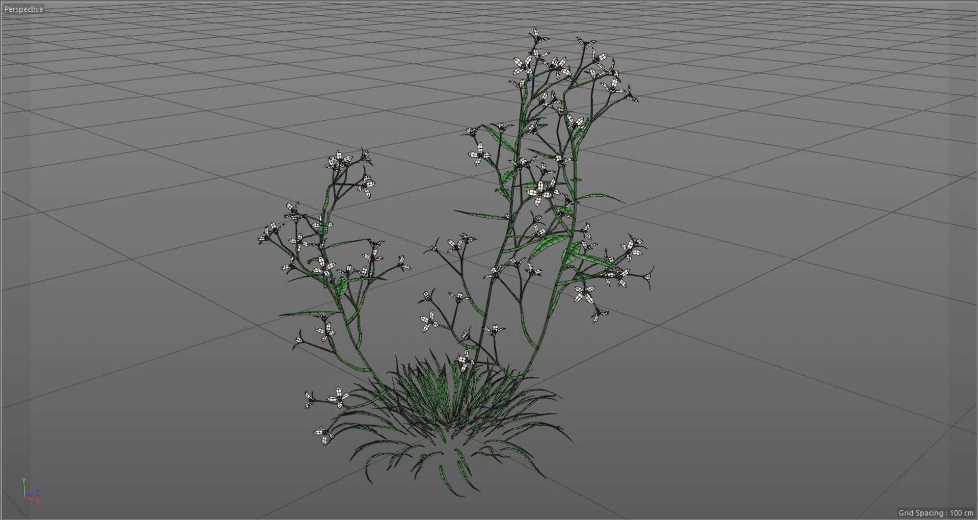 3D Prairie Blue Grass Model - TurboSquid 1472606