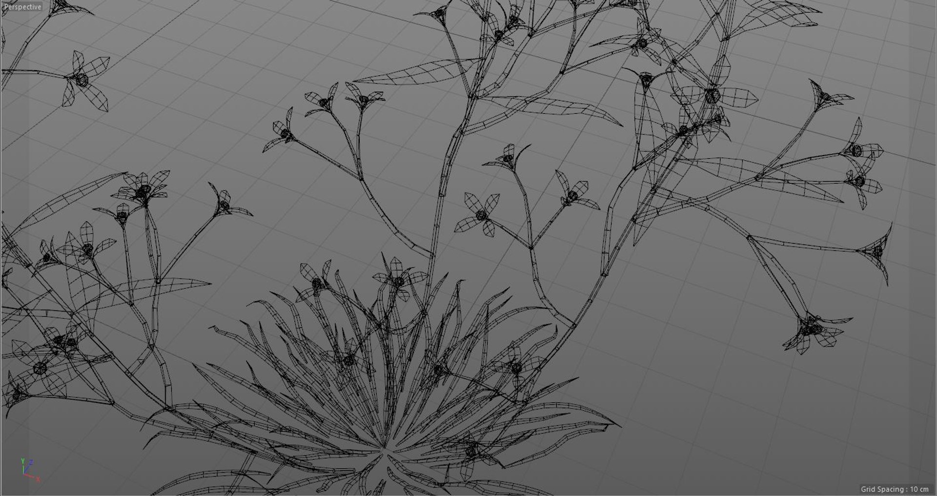 3D Prairie Blue Grass Model - TurboSquid 1472606