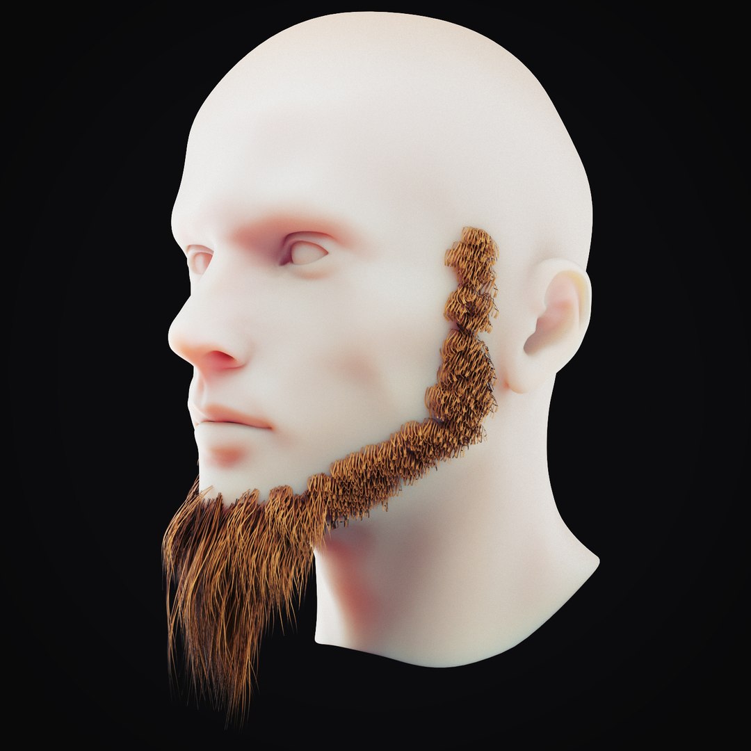 3D beard 4 model - TurboSquid 1489641